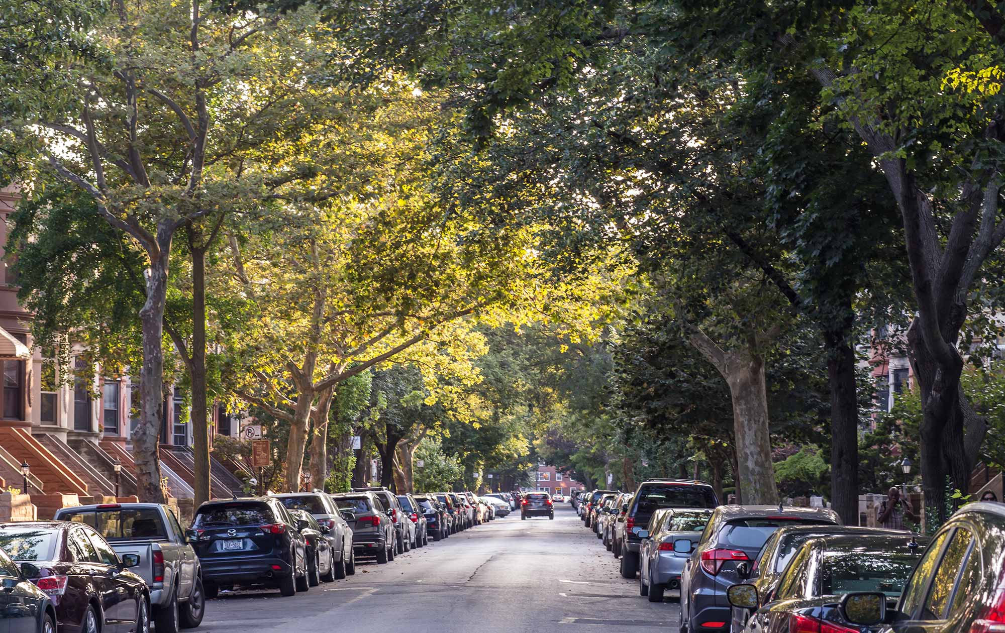 The Lois: Brand New Apartments in Prospect Lefferts Gardens