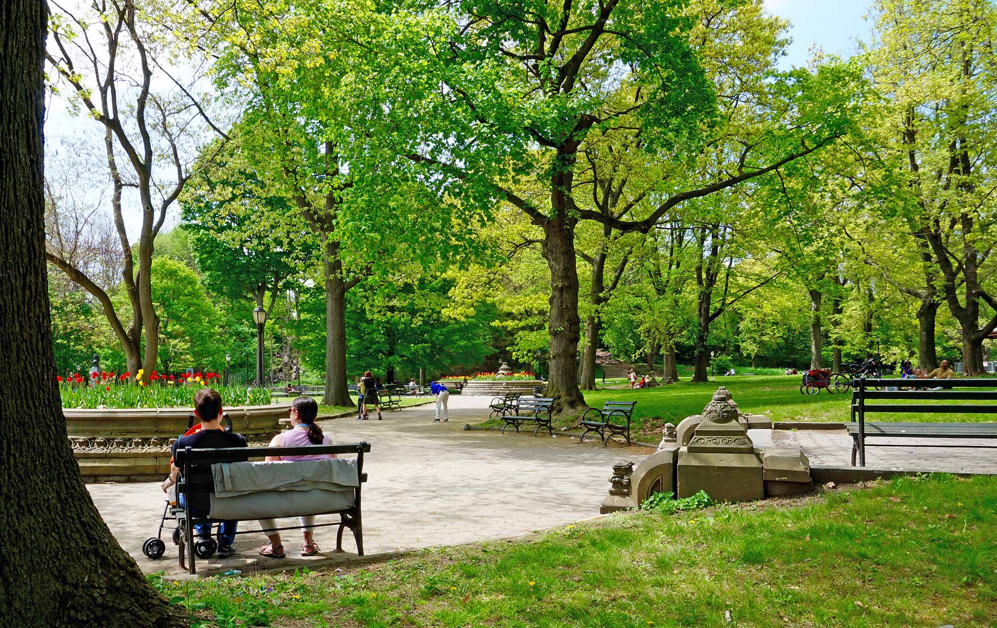 The Lois: Brand New Apartments in Prospect Lefferts Gardens